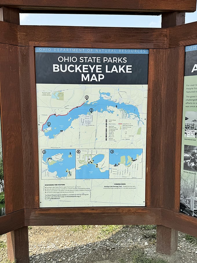 Maps don't just show you where to go—they reveal possibilities. This wooden-framed guide to Buckeye Lake's treasures is like a menu for outdoor adventures.