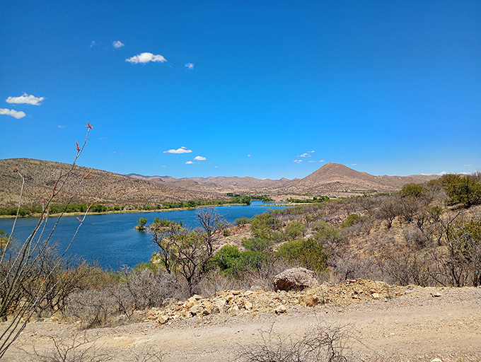 The desert's mirage that actually delivers. Those mountains aren't just for looking—they're the perfect backdrop for your next "I can't believe this is Arizona" moment.