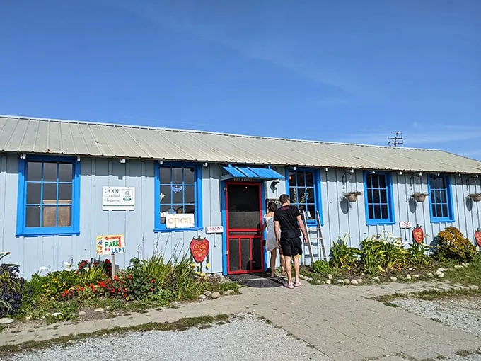 The blue-trimmed farmstand beckons like an old friend. This weathered building holds sweet treasures that no fancy boutique could match.