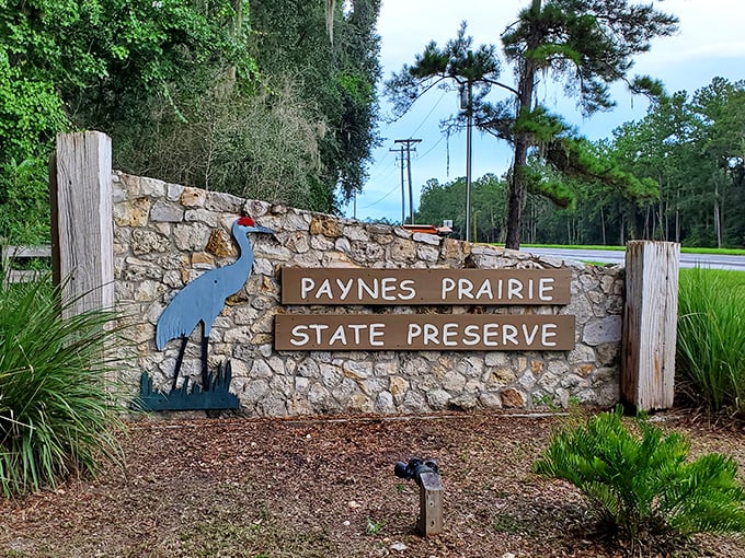 Nature's welcome sign, complete with a blue heron silhouette that says "Yes, we have spectacular birds here" without saying a word.