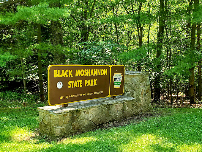 The classic brown park sign—nature's equivalent of a five-star hotel lobby, promising wilderness luxury without the turndown service.