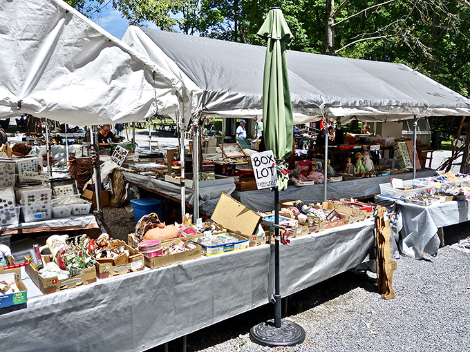 Tables groaning with glassware stretch into the distance like a museum where you're actually allowed to touch everything. Bring your sunglasses—and your patience!