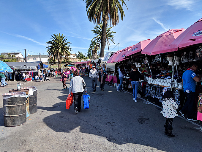 The pink canopies create a rosy glow over merchandise displays, like a retail sunset you can shop under. Bargain paradise awaits.