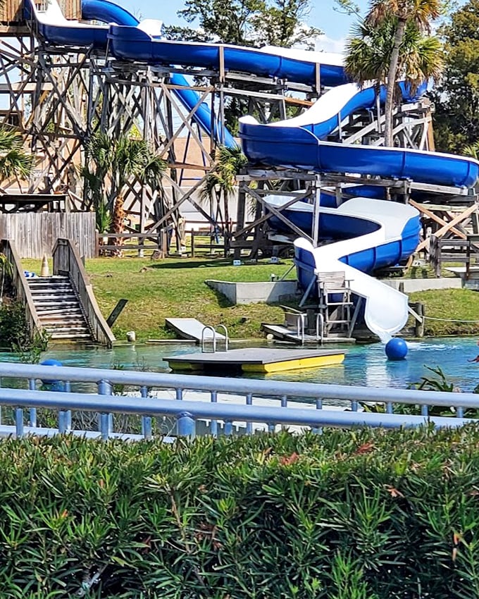 Twisting blue waterslides promise a refreshing plunge into spring-fed waters. Unlike most waterparks, here you'll smell like nature instead of chlorine afterward.