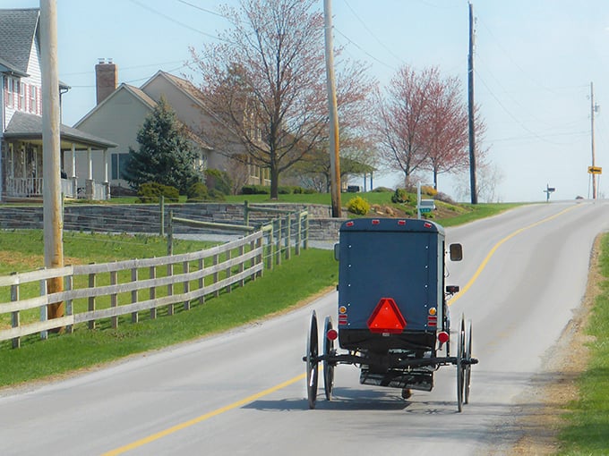 The open road in Bird-in-Hand beckons with its simplicity. That Amish buggy isn't stuck in traffic—it IS traffic!