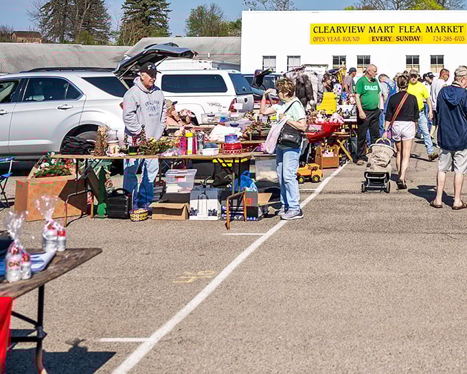 Sunshine and second-hand treasures! Butler Flea Market parking lot transforms into a bustling marketplace where one person's castoffs become another's collectibles.