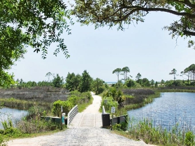 Where the boardwalk meets the bay, Florida shows off its quieter side – no spring breakers in sight!
