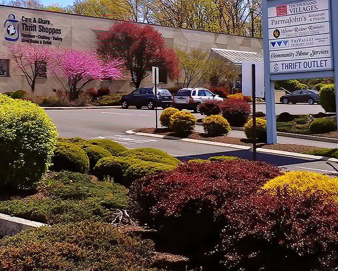 Care & Share's landscaping is as colorful as its bargains—like shopping in a garden where your wallet can breathe easy.