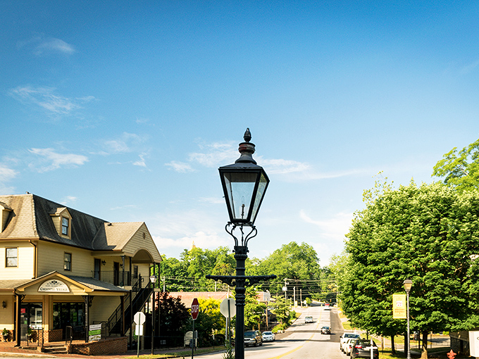 Dahlonega's golden neighborhood gleams in the sunshine, a fitting tribute to the town that sparked America's first gold rush.
