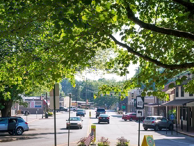 Dahlonega's tree-lined main street offers shade and charm in equal measure, like nature's own welcome mat.