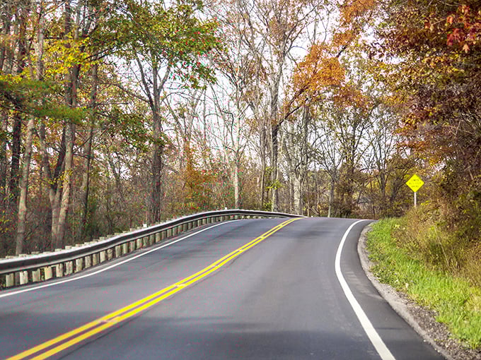 Hocking Hills Scenic Byway winds through forests so lush, you'll swear you've driven straight into a fairy tale.