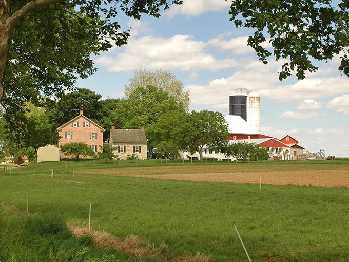 Red barn, brick farmhouse, green fields – it's like someone asked a kindergartener to draw the perfect farm. And nailed it!