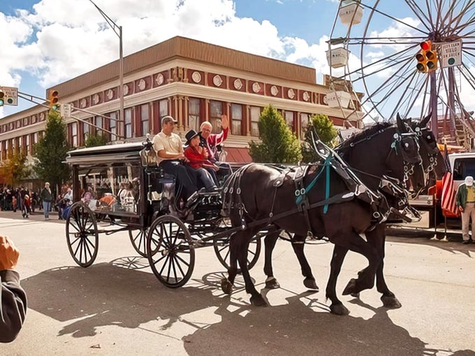 Downtown carriage rides—where "traffic jam" means waiting for a fresh-baked one at the bakery! These magnificent draft horses are the Cadillacs of Amish transportation.
