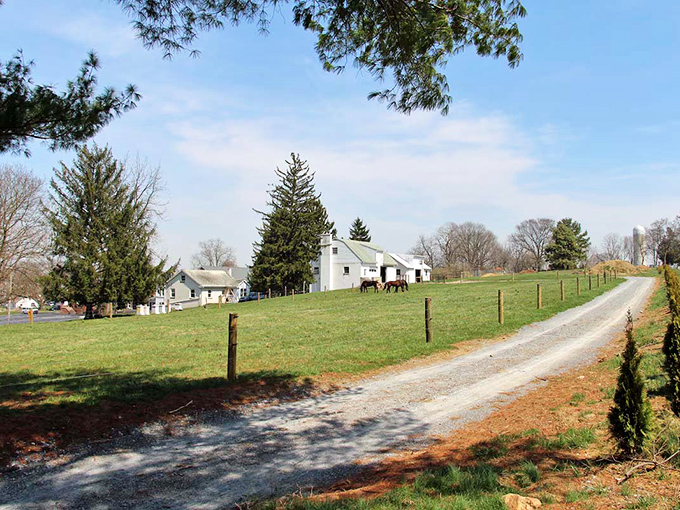 Paradise indeed! These pristine white farmhouses make my apartment look like it needs therapy.