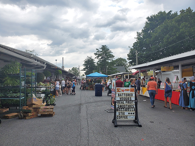 Roots Country Market from above – a sea of vendors and vehicles in rural Pennsylvania. Woodstock for bargain hunters!