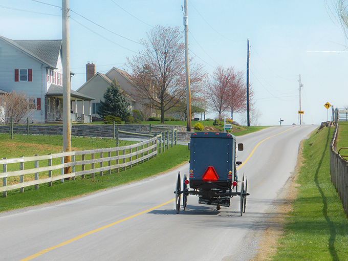 In Bird-in-Hand, the morning traffic report is simple: "Watch out for that horse and buggy making a left without signaling!"