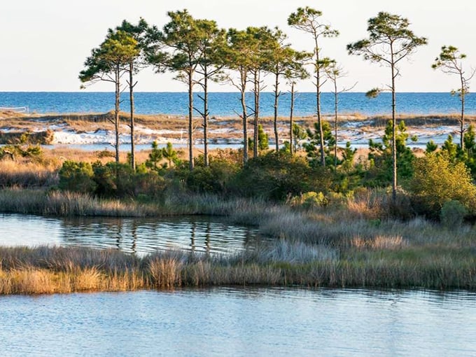 Gulf meets lake in this natural two-for-one special – Mother Nature's own BOGO deal, no coupon needed.