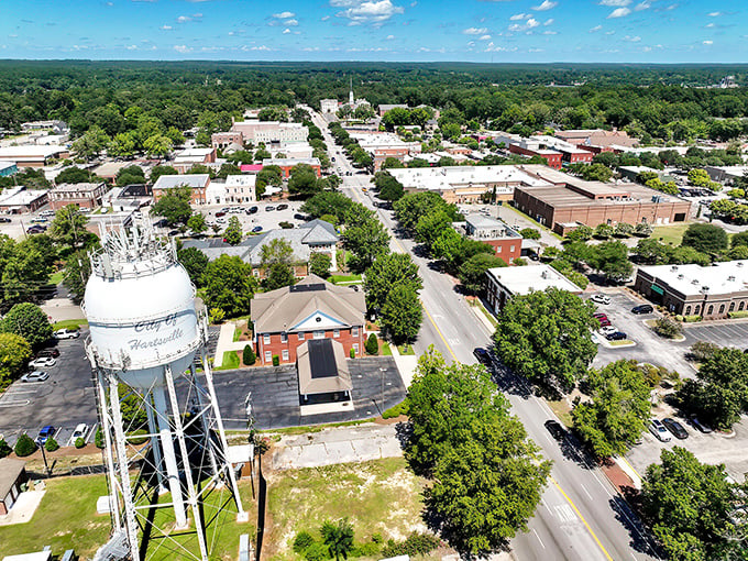 A bird's-eye view of Hartsville reveals its charming downtown nestled among lush greenery.