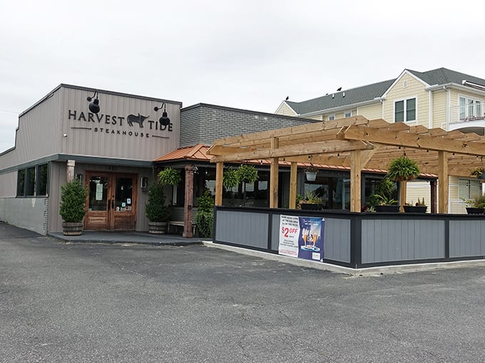 That wooden pergola isn't just for show—it's where summer memories are made over sizzling steaks and cool cocktails.