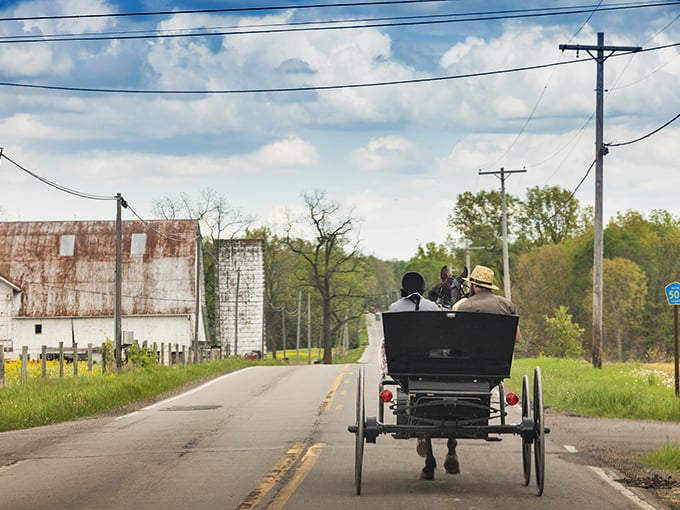 Talk about a Sunday drive! This horse-drawn carriage passing a stop sign reminds us that some traditions never go out of style.