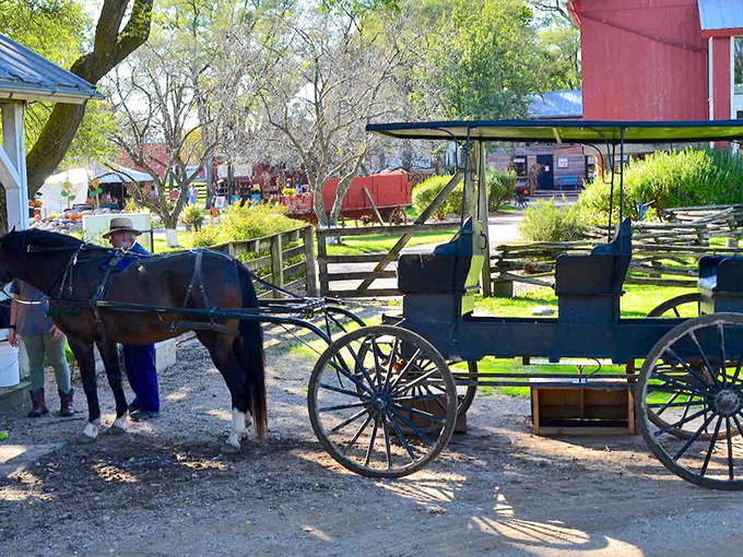 Amish Acres in Nappanee offers a glimpse of living history. This isn't a tourist attraction—it's Tuesday afternoon transportation for local families.