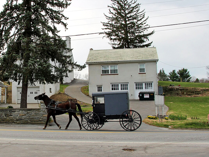 Horse and buggy passing by—the original eco-friendly transportation that never needs a charging station!