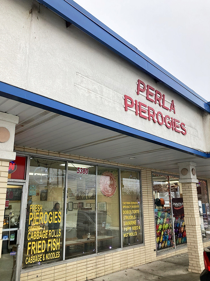 Fresh pierogies, cabbage rolls, and fried fish – Perla's window menu reads like a Polish grandmother's Sunday dinner invitation.