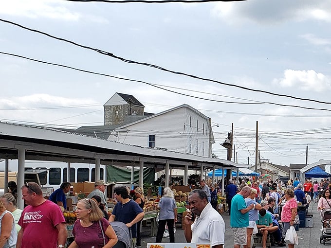 The impressive scale of Roots Market with its organized rows of outdoor vendors. Where shopping becomes an Olympic sport!