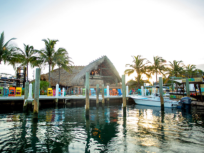 Sunset transforms Tiki 52 into a postcard-perfect Florida dream, where fresh seafood tastes even better with your toes near water.