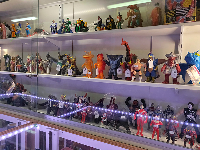 Nostalgia in three dimensions! These action figure displays are time machines disguised as merchandise, transporting you straight back to Saturday morning cartoons.