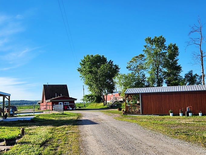 Rural tranquility at its finest—this countryside retreat offers a peaceful escape where the loudest sound might be a bird greeting the morning.