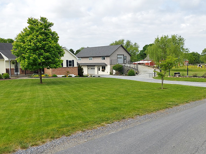 Perfectly manicured lawns and practical architecture—where modern homes and traditional values coexist in a landscape that refuses to be rushed.