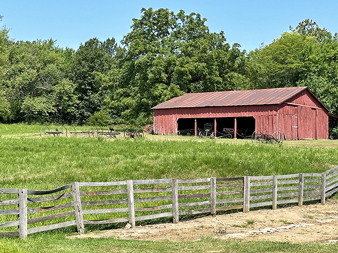 That weathered red barn against emerald fields isn't just picturesque – it's practically begging to be on the cover of "Rustic Living Monthly."
