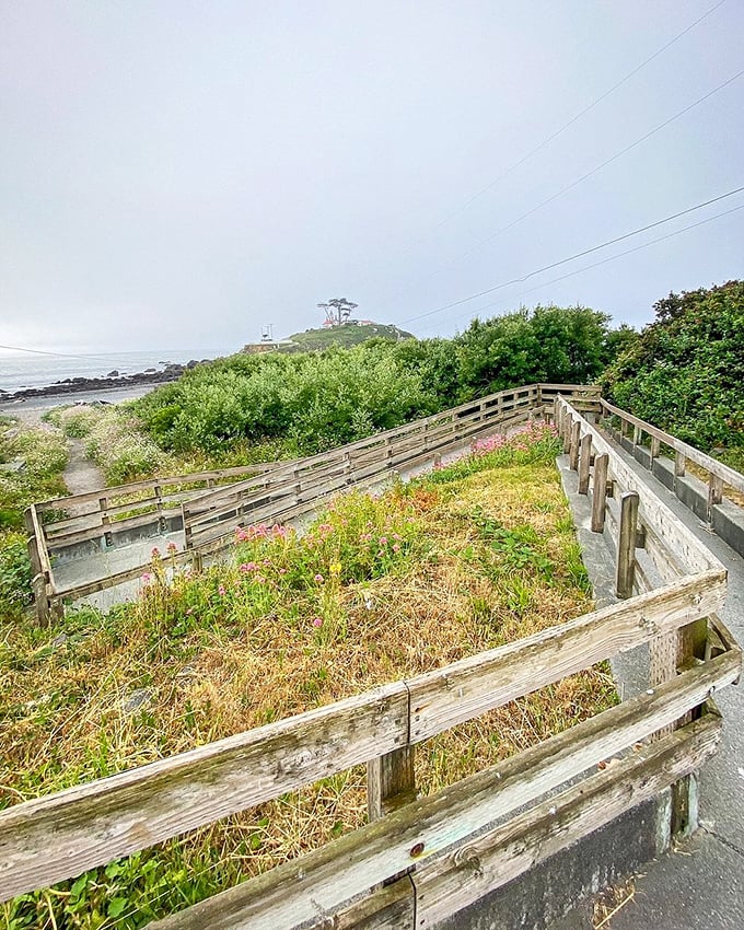 Nature's perfect framing device—this wooden boardwalk leads your eye straight to the prize waiting on the horizon.