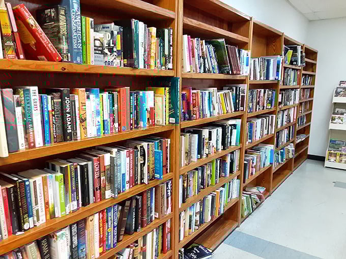 A bibliophile's dream come true – shelves packed with literary adventures waiting to be rediscovered for less than the price of a latte.