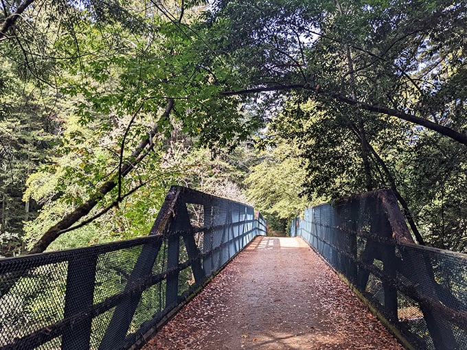 This bridge doesn't just connect two sides of the park—it's a portal to tranquility, framed by a canopy that puts most wedding venues to shame.