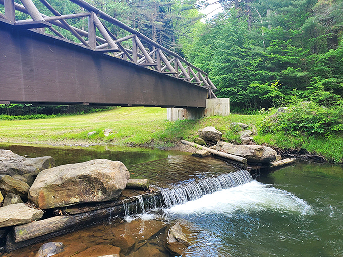 This bridge isn't just crossing water—it's connecting you to the wilderness experience your smartphone-weary soul has been craving.