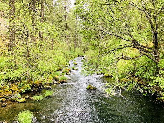 Burney Creek meanders like a peaceful Sunday drive before taking its spectacular plunge downstream.