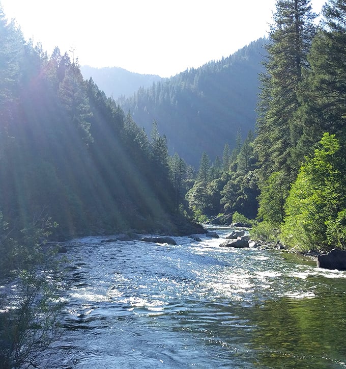 Mother Nature showing off with her morning light show. The Yuba River sparkles like liquid diamonds beneath towering pines.