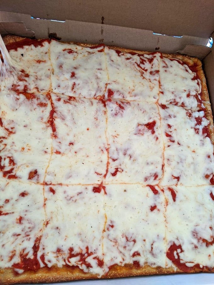 Square-cut perfection that would make geometry teachers weep with joy – this is cheese pizza's final form.