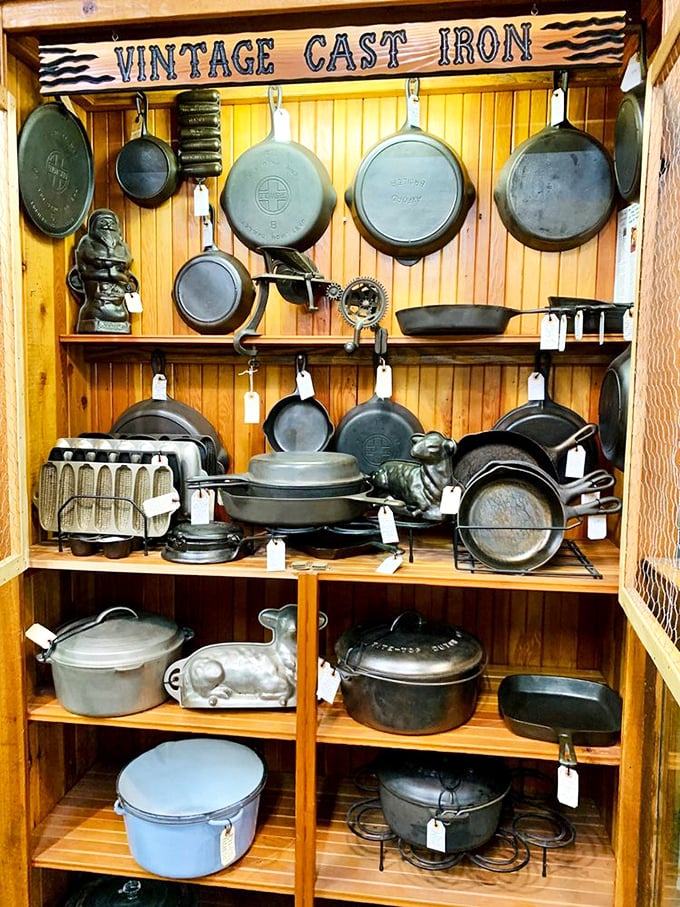 Cast iron heaven! These seasoned beauties have cooked thousands of meals and could tell more stories than your grandmother after her third glass of wine.