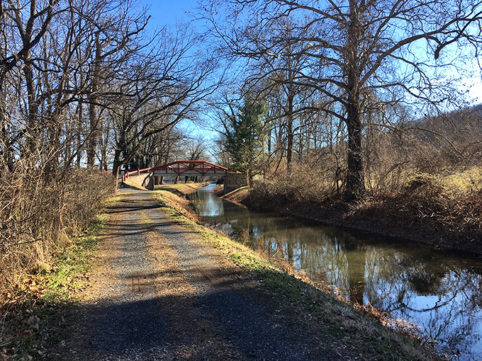 The Delaware Canal towpath whispers stories of history while offering peaceful walks through nature.