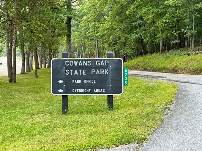 The gateway to adventure doesn't need neon lights – just a simple green sign promising overnight escapes from your inbox. P