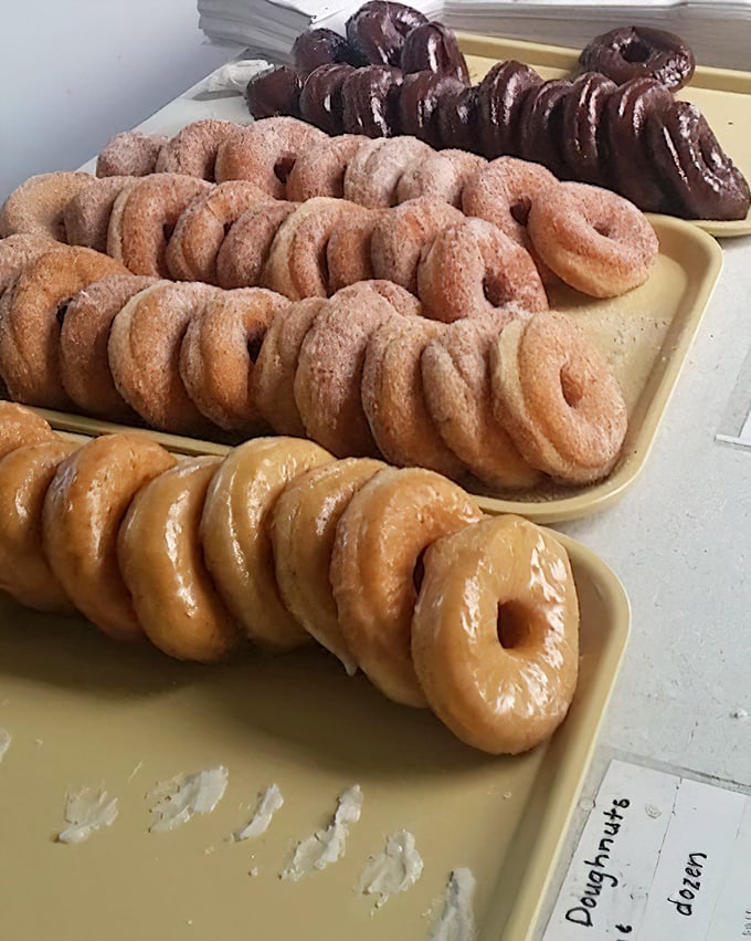 The holy trinity of donut perfection: cinnamon-sugar, chocolate-glazed, and classic glazed – lined up like delicious soldiers ready for duty.