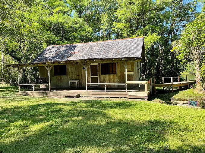 Not exactly the Ritz Carlton, but this rustic cabin whispers tales of old Florida. Weathered wood and tin roof—swamp living at its most authentic.