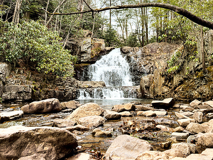 Hidden among rhododendrons and ancient hemlocks, this waterfall offers nature's most refreshing air conditioning on sweltering Pennsylvania summer days.