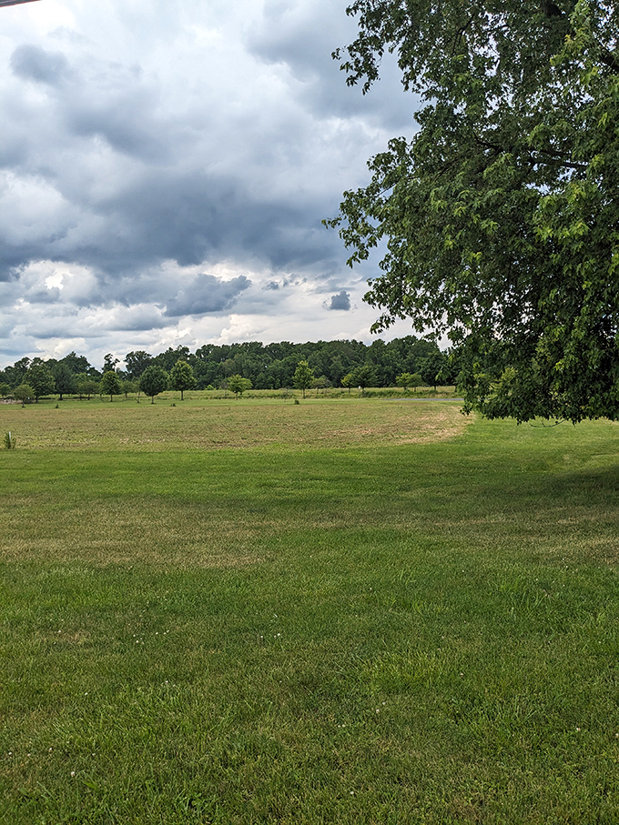 Wide open spaces that whisper possibilities—where city dwellers can breathe deep and remember what clouds look like from below.