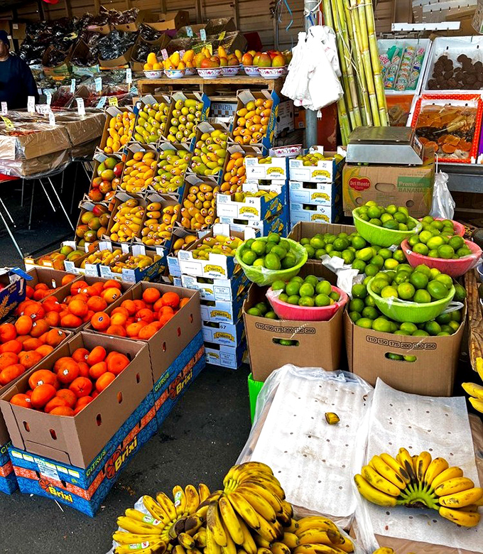 Nature's color palette on full display. These fruits aren't just fresh—they're practically introducing themselves by first name and hometown. 