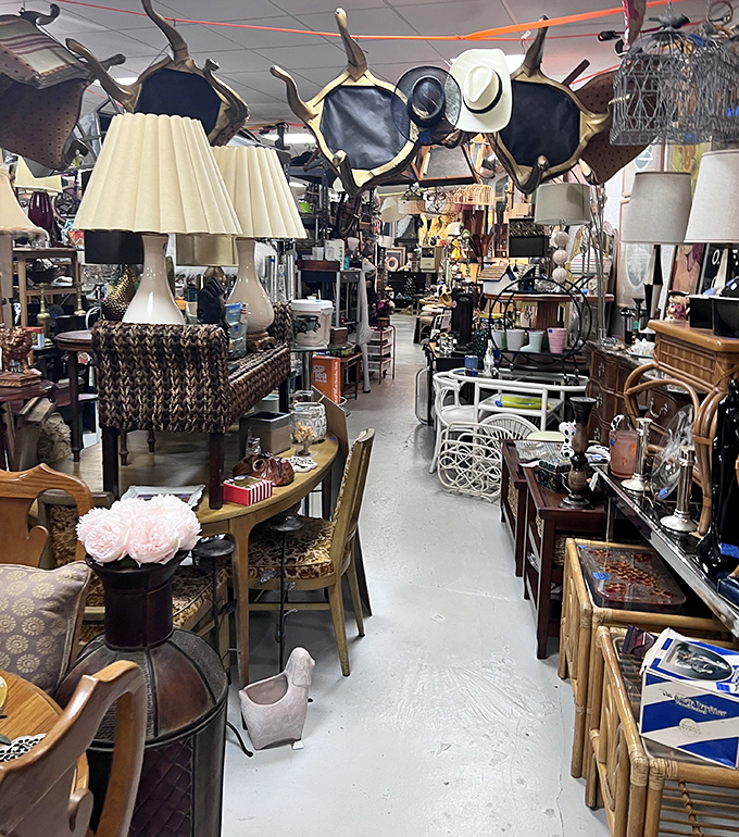 Navigate this furniture forest with caution—those vintage lamps and antique tables have been known to follow shoppers home against their better judgment.
