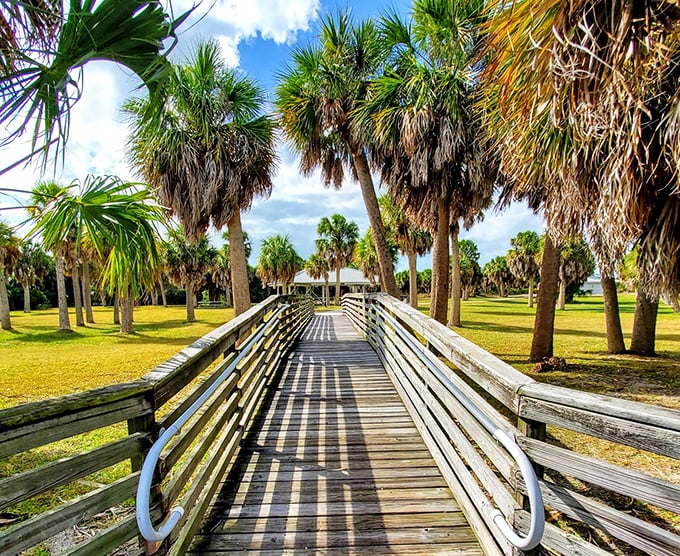 Honeymoon Island's boardwalk leads you straight to paradise, no passport or overpriced resort required.